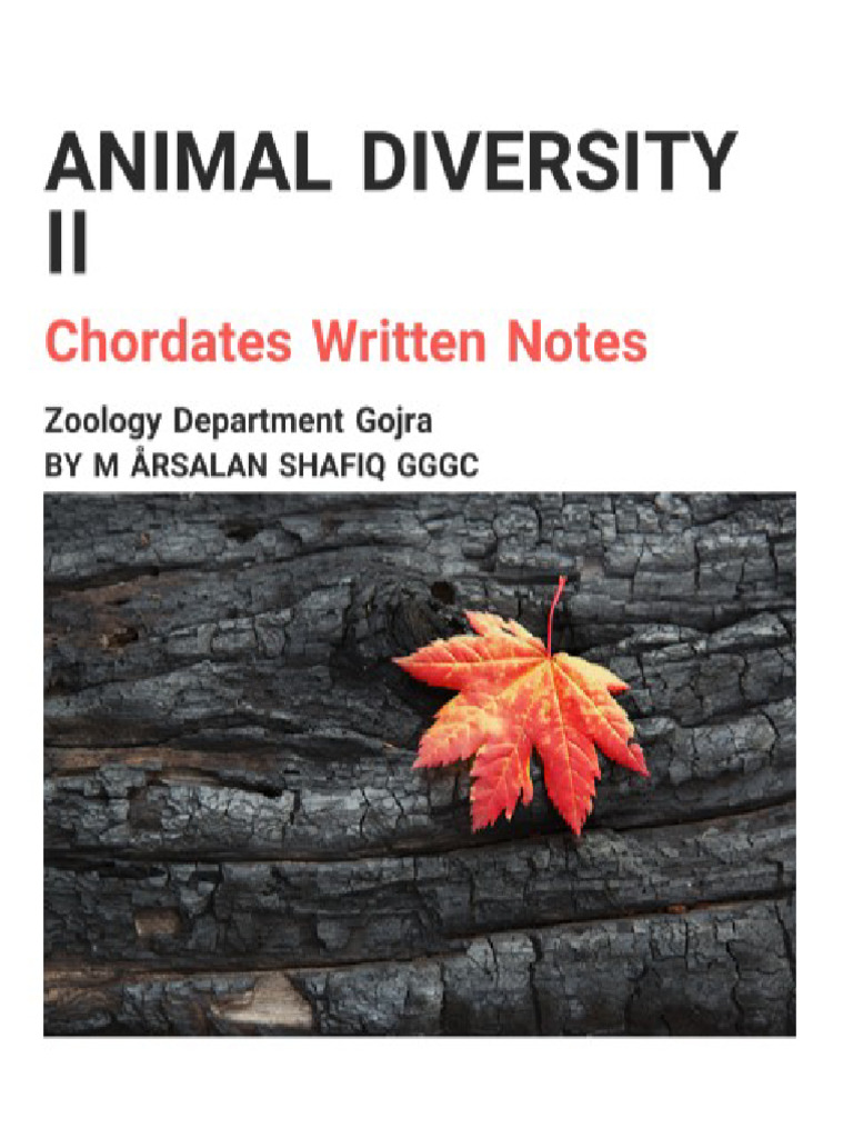 3rd Zoo-Animals Diversity II (Chordates) by M Arsalan Shafiq | PDF