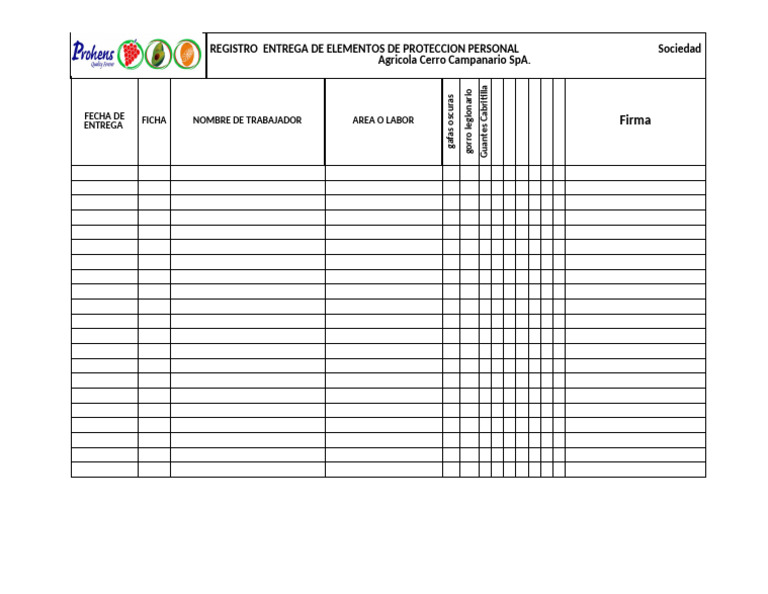 Registro de Entrega EPP Personal Nuevo | PDF