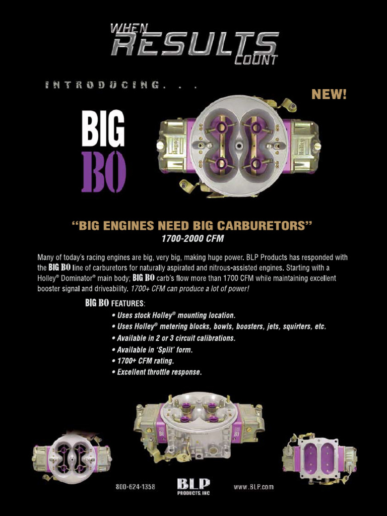 Big Bo Flyer | PDF