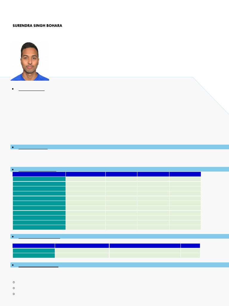 Surendra Singh Bohara CV | PDF | Audit | Business