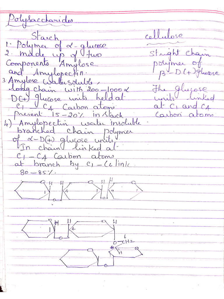 Bio Molecules Notes | PDF