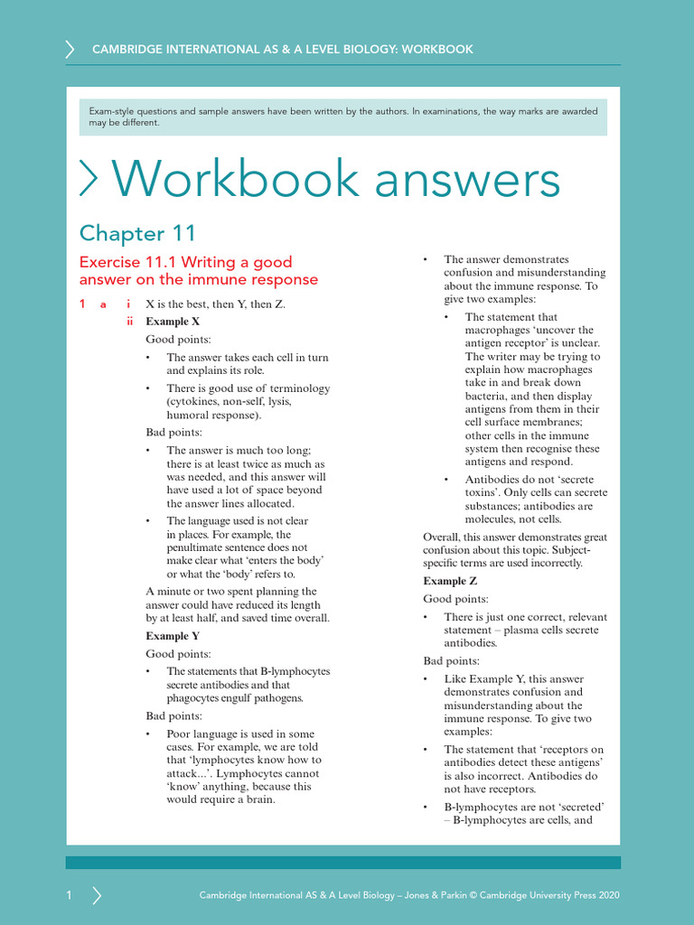Workbook Exercise Answers Chapter 11 Asal Biology PDF | PDF | B Cell ...
