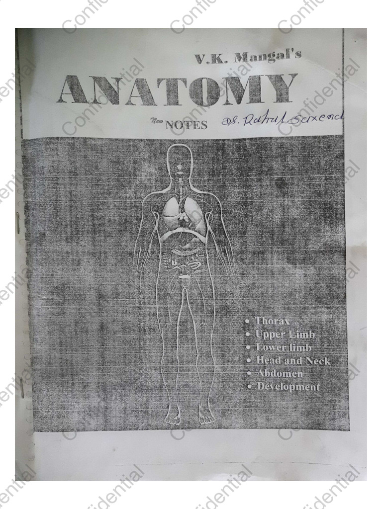 Lower Limb Anatomy Notes | PDF | Human Leg | Foot