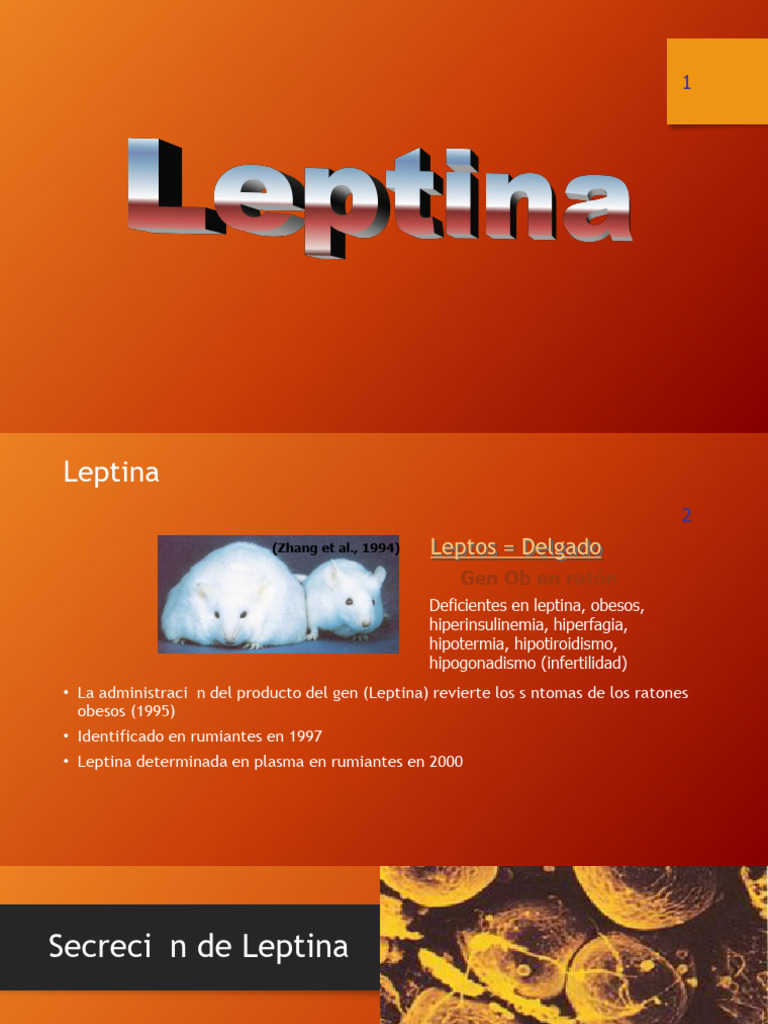 Leptina - Pineal | PDF