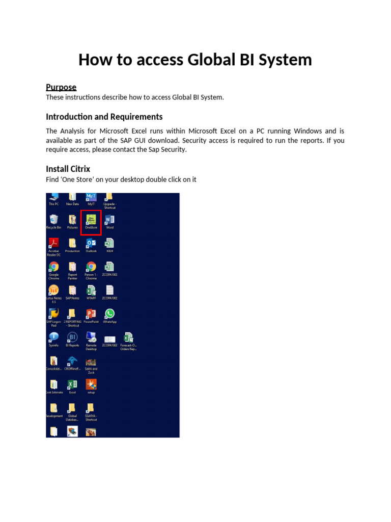 Accessing Global BI System Guide | PDF
