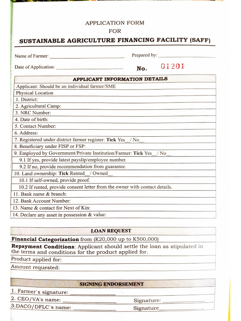 SAFF Application Form 202425 SEASON | PDF