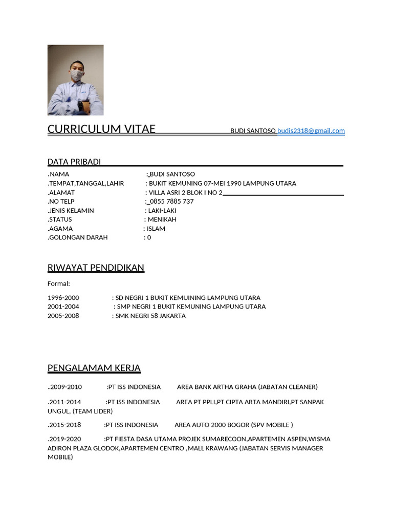 CURRICULUM VITAE BUDI SANTOSO Budis2318 | PDF