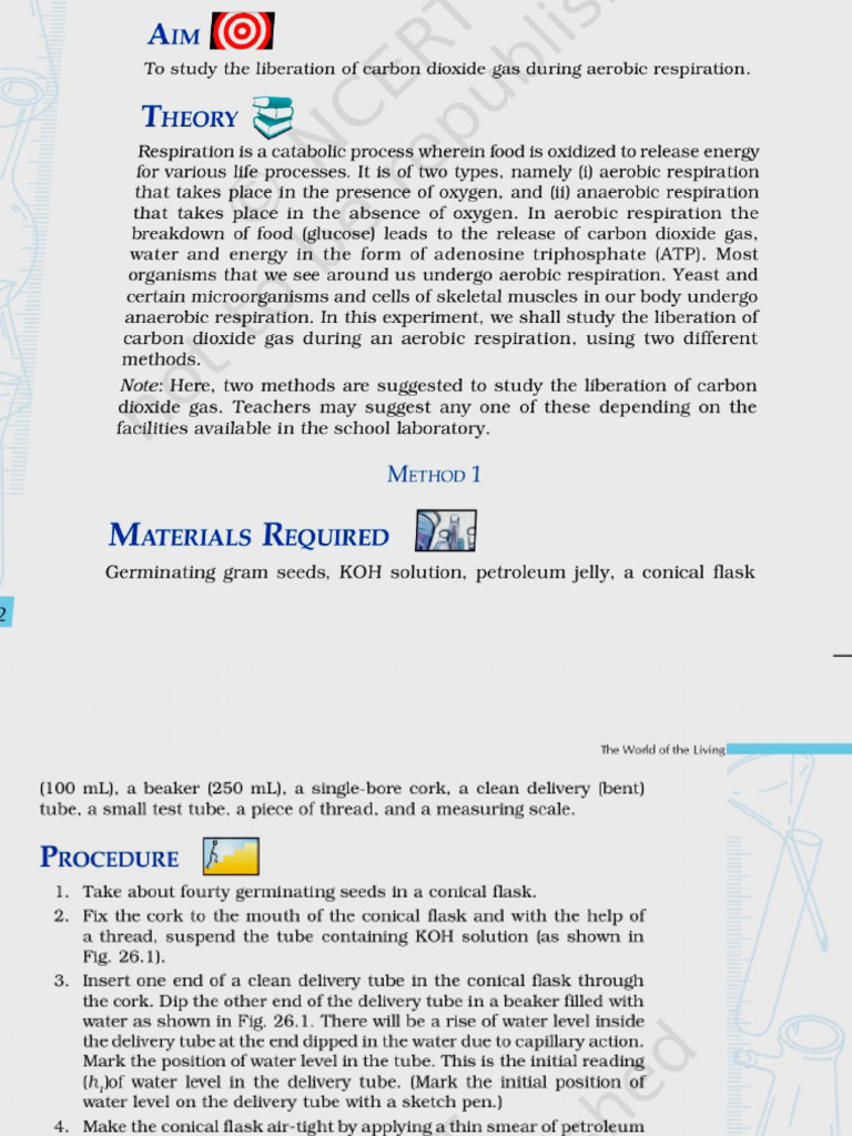 X Bio2 Experiment | PDF