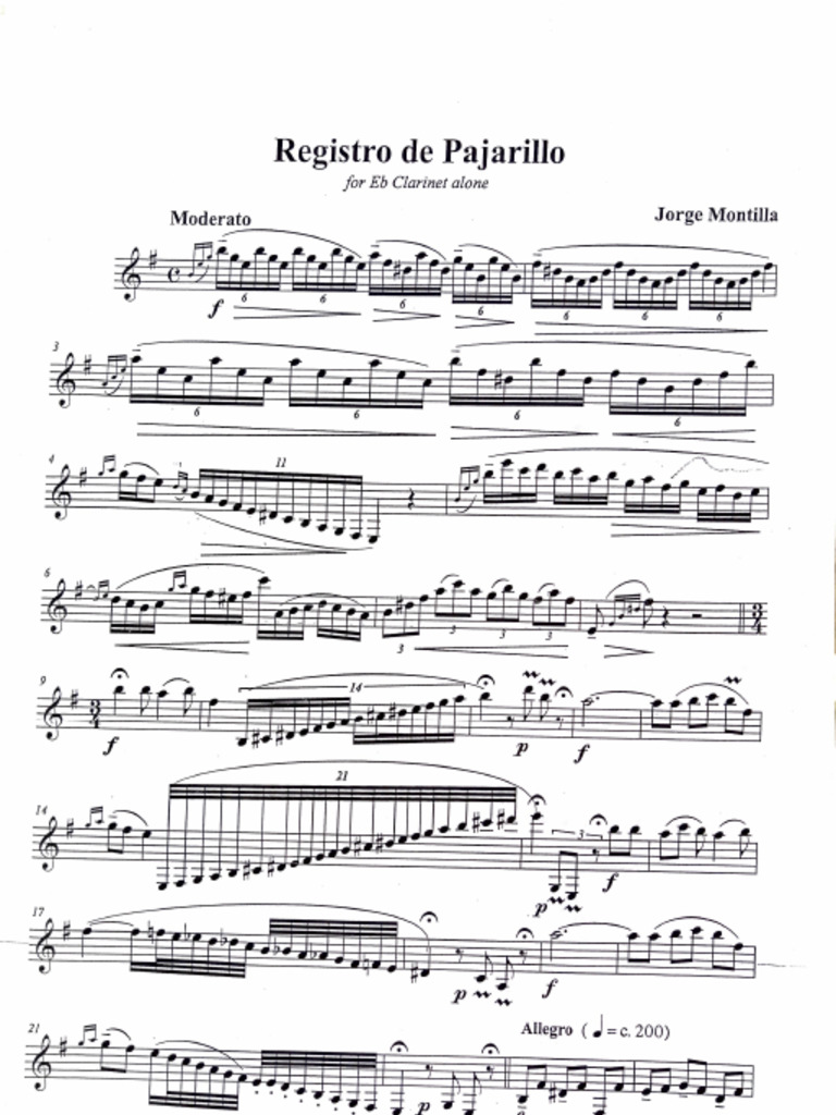 Registro de Pajarillo | PDF