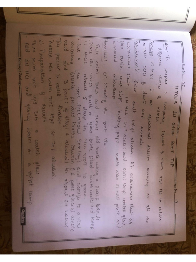 Bio Record - 01 | PDF