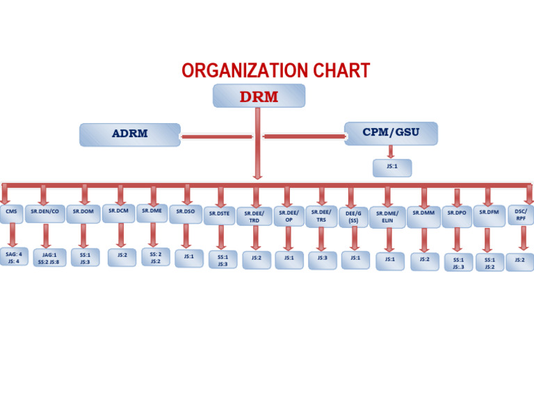 1705468377476-Organisation Chart | PDF