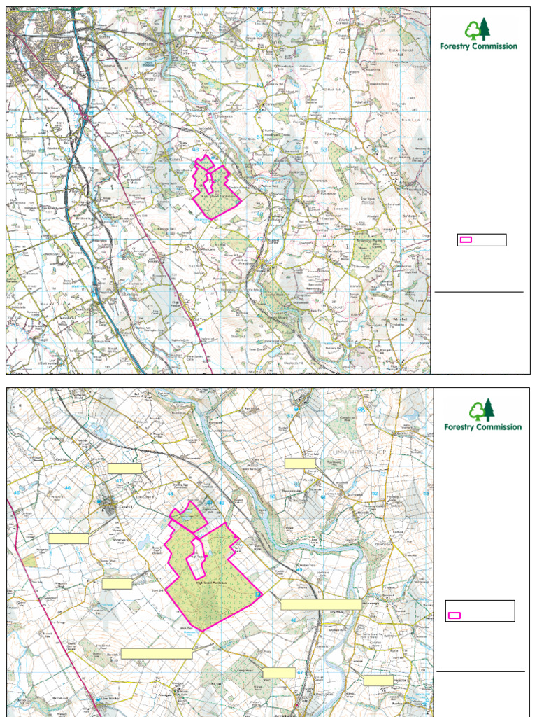 High Stand Forest Plan 2009 Part 2 | PDF | Trees | Forests