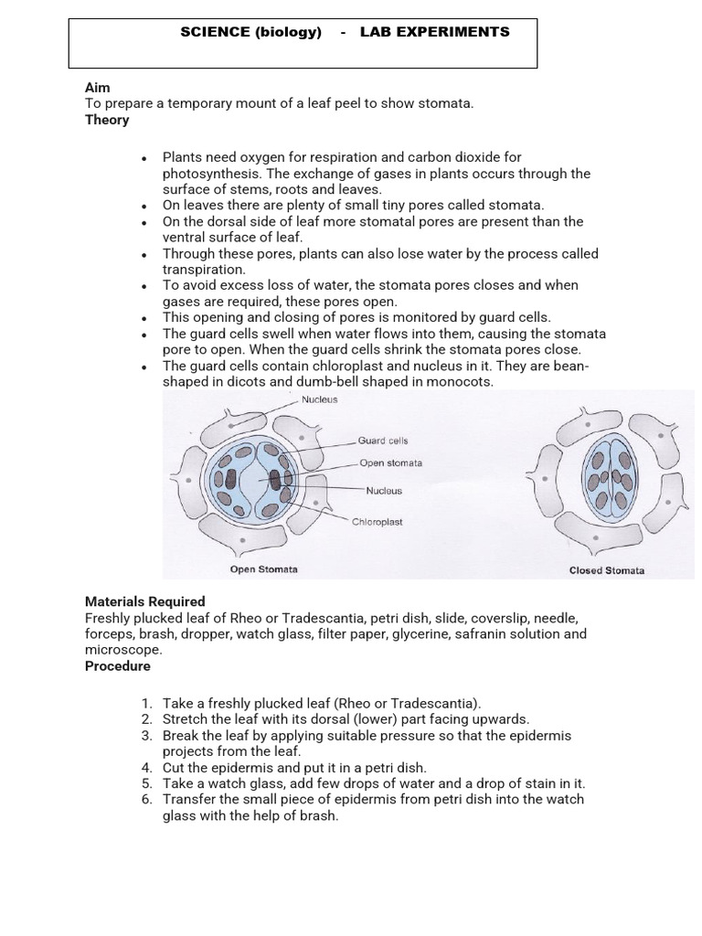 Bio Record Manual | PDF | Seed | Mitosis