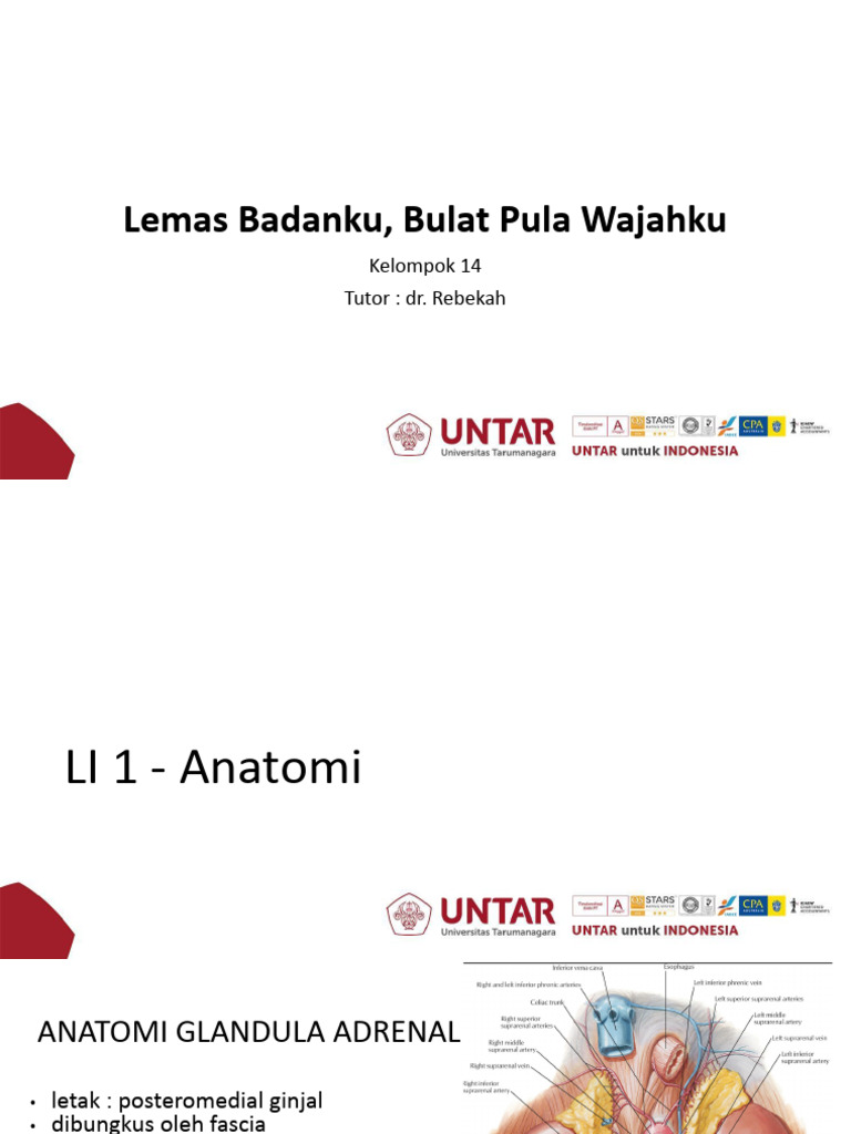 14 Diskusi 2 Pemicu 2 | PDF