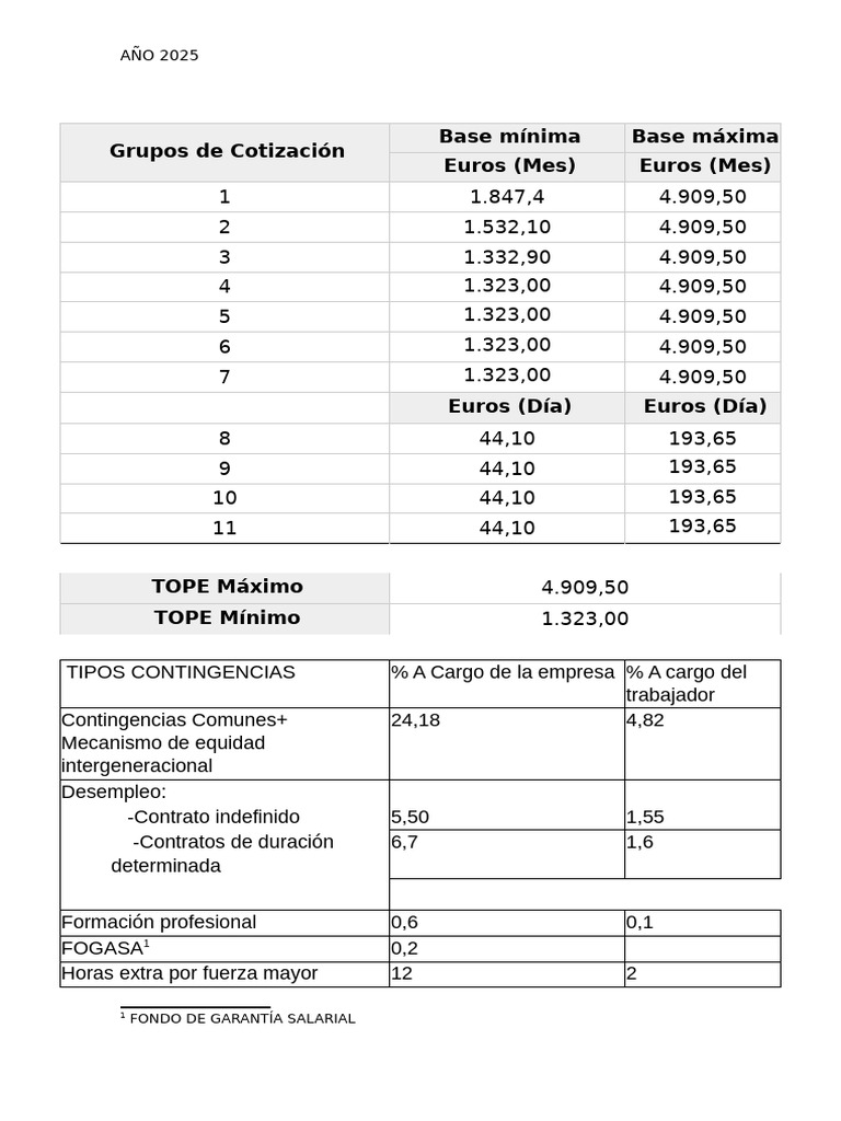 Bases y Tipos de Cotización 2025 | PDF