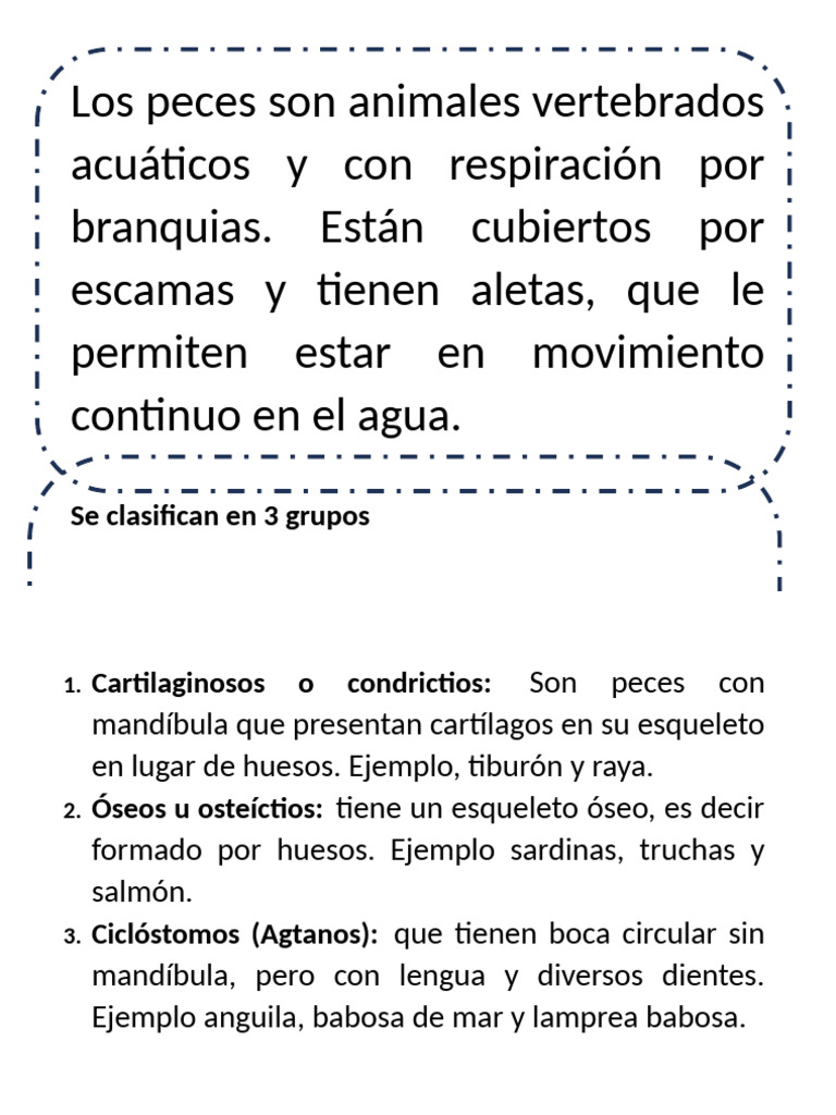 Los peces son animales vertebrados acuáticos y con respiración por ...