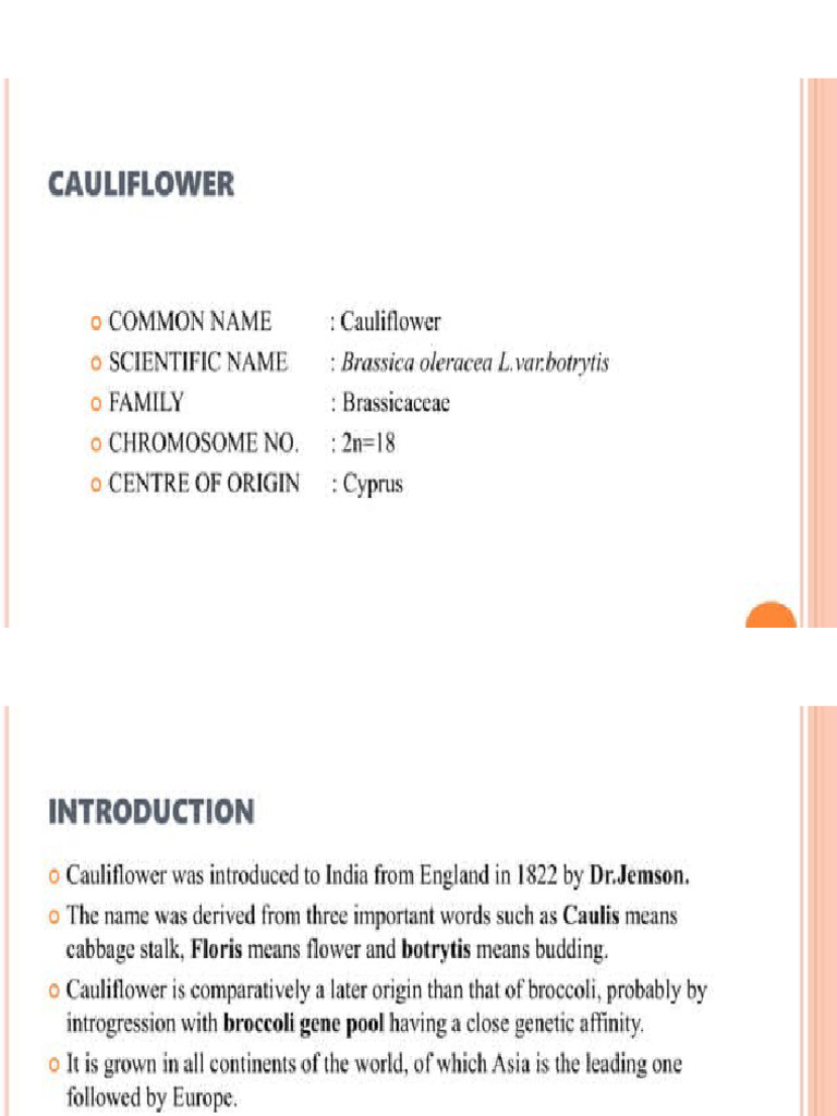 Cauliflower | PDF