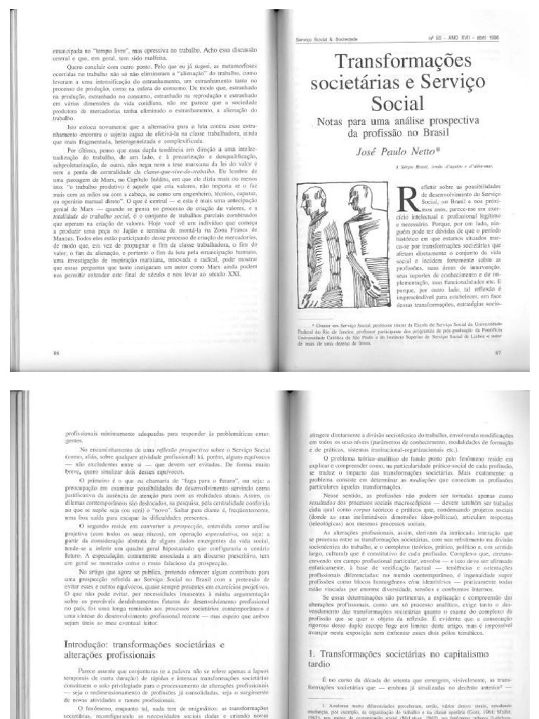 Transformacoes Societarias Netto - 1 | PDF