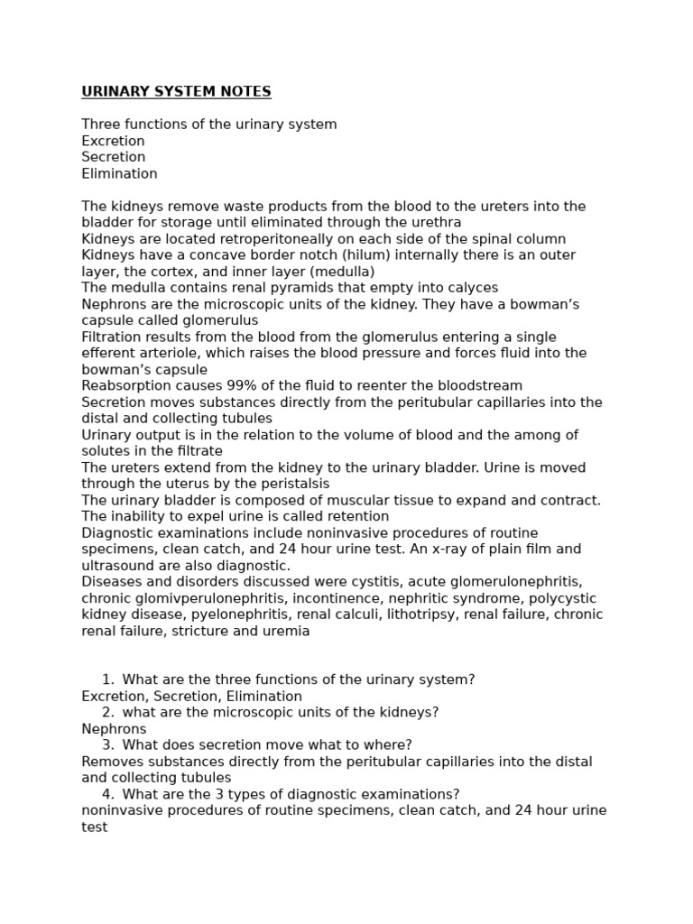 Urinary System Notes | PDF