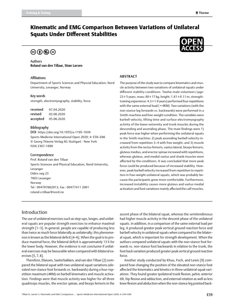 Kinematic and EMG Comparison Between Variations of Unilateral Squats Under Different Stabilities ...