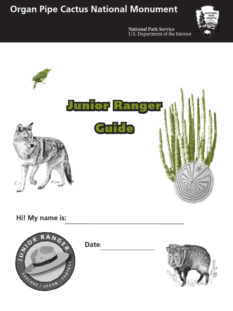 Junior-Ranger-Guide | PDF