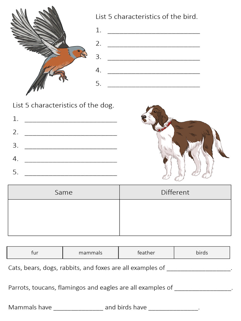 2 Comparing Animals Worksheet | PDF | Fur | Mammals