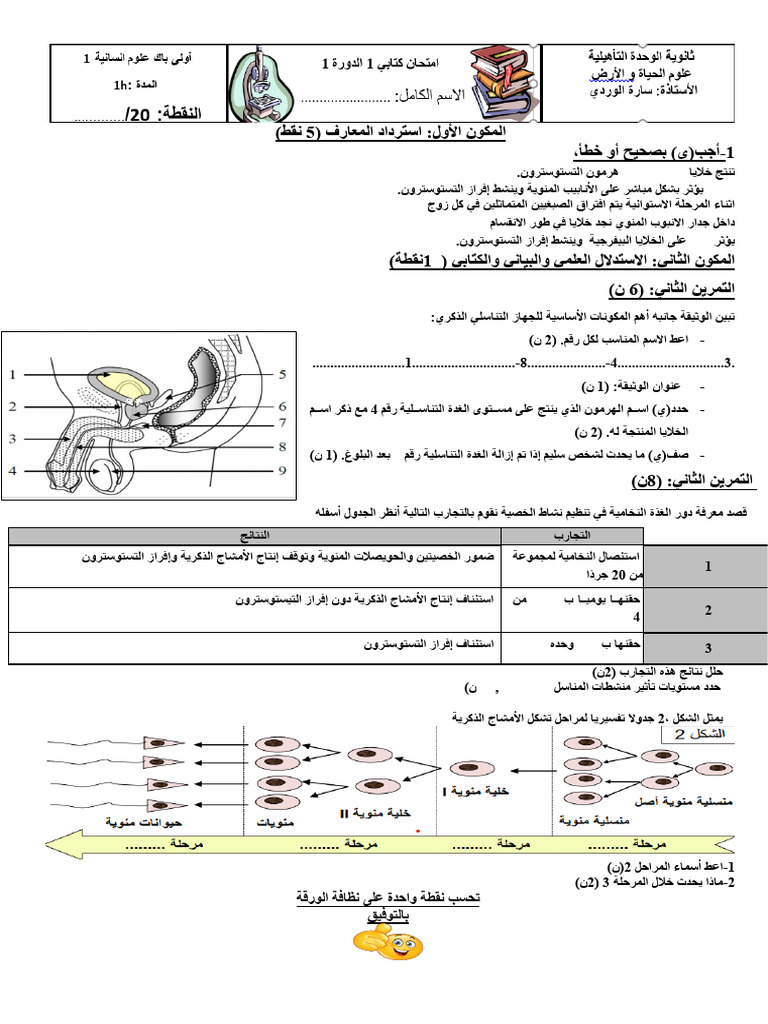 Examen 1BAC SH | PDF