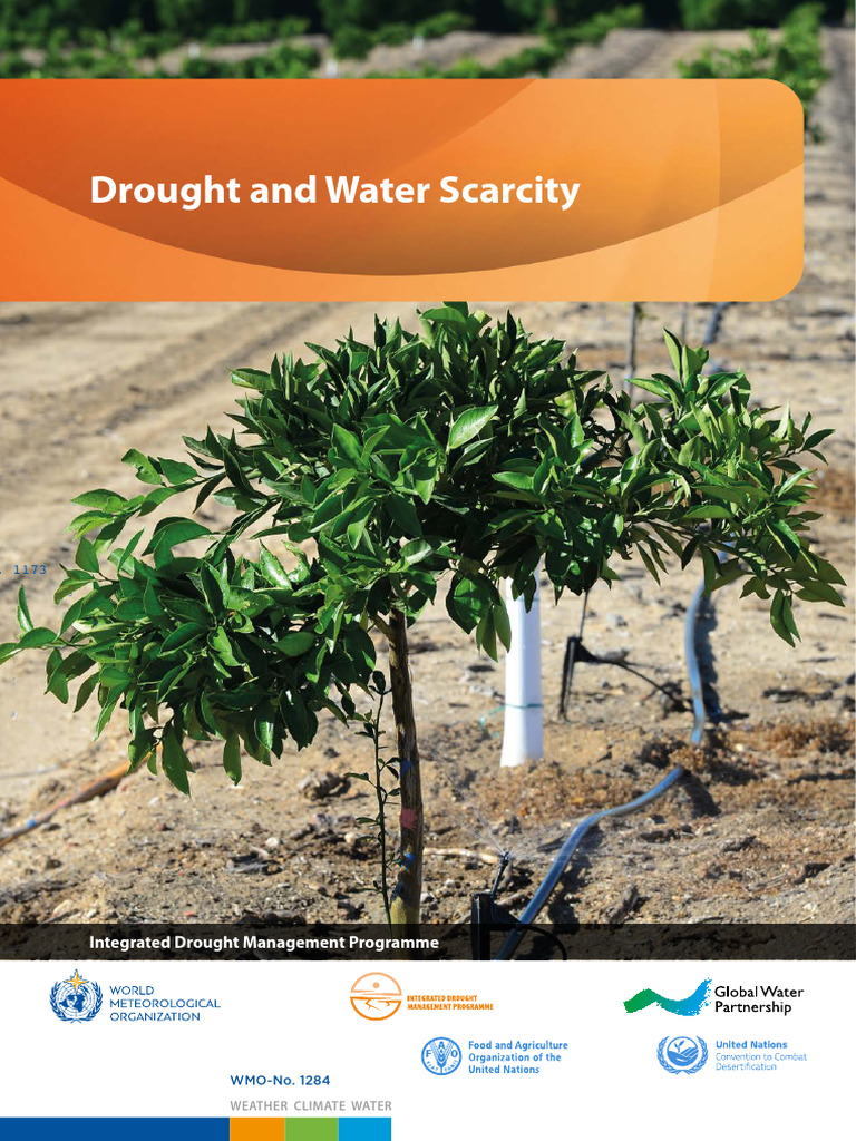 1284 IDMP Water Scarcity Report | PDF | Water Scarcity | Drought