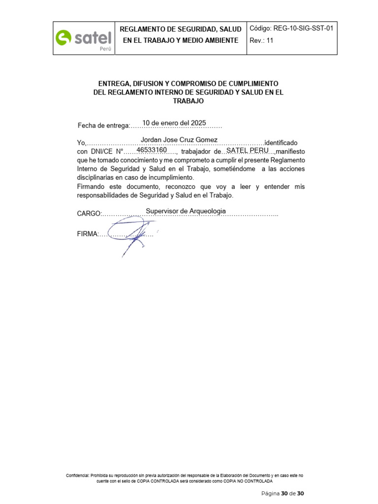 CONSTANCIA DE ENTREGA RISST - jordan Cruz | PDF