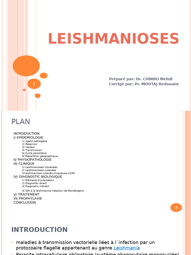 LEISHMANIOSES | PDF | Sciences de la santé | Médecine