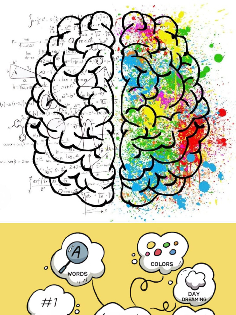 Brain: Right and Left | PDF