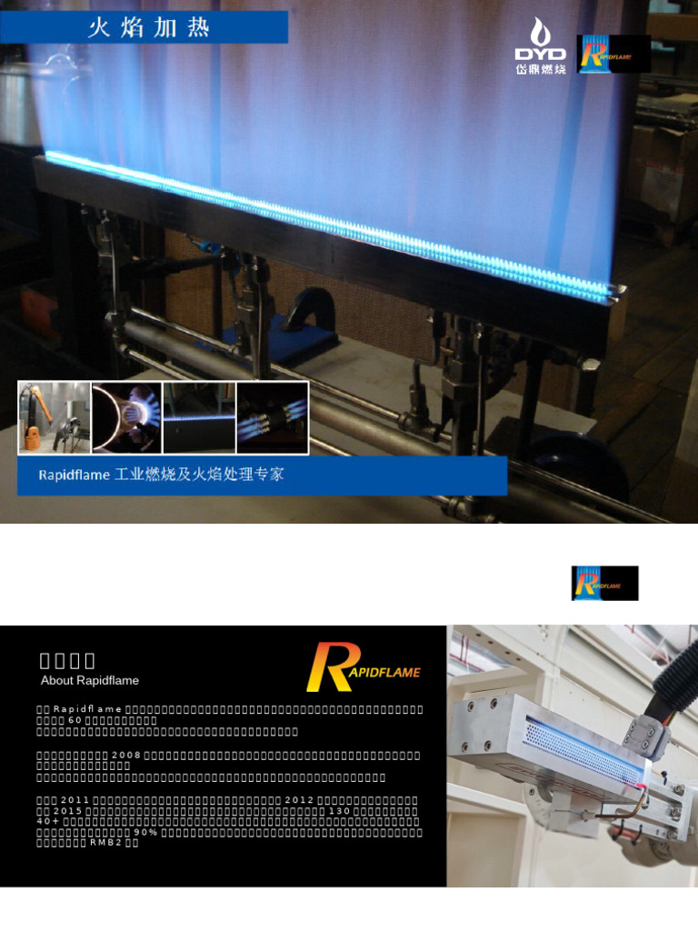 Selflame自身预热式燃烧器 | PDF