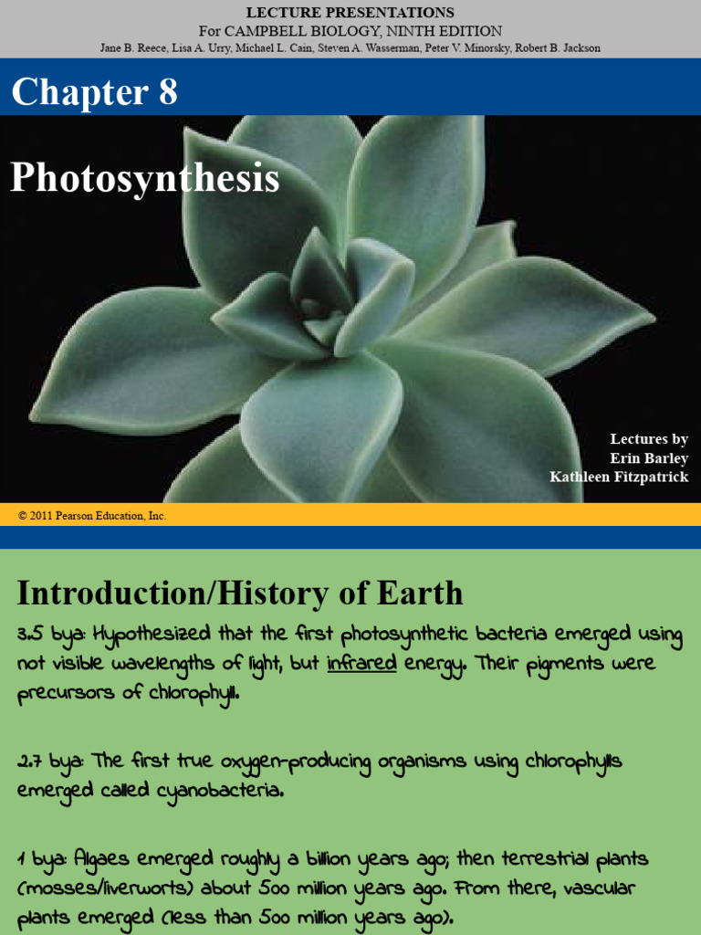 Ch8 Lecture - Photosynthesis | PDF | Electromagnetic Radiation | Chloroplast