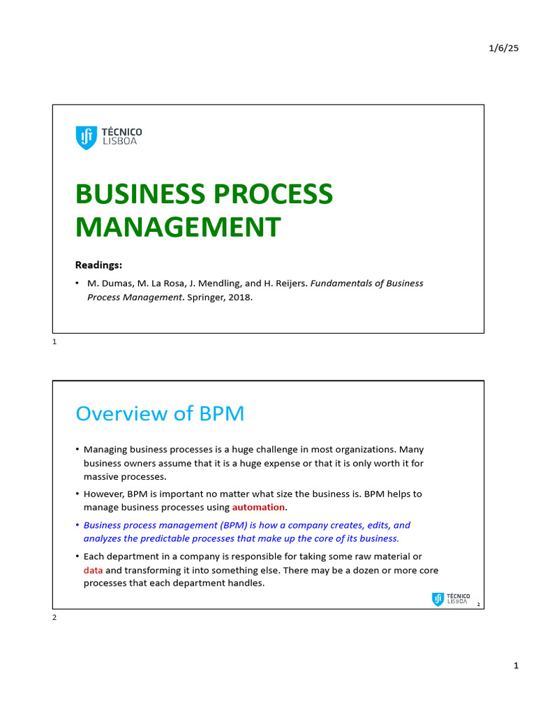 AA13 Business Process Management 2024 | PDF | Business Process Management | Business Process