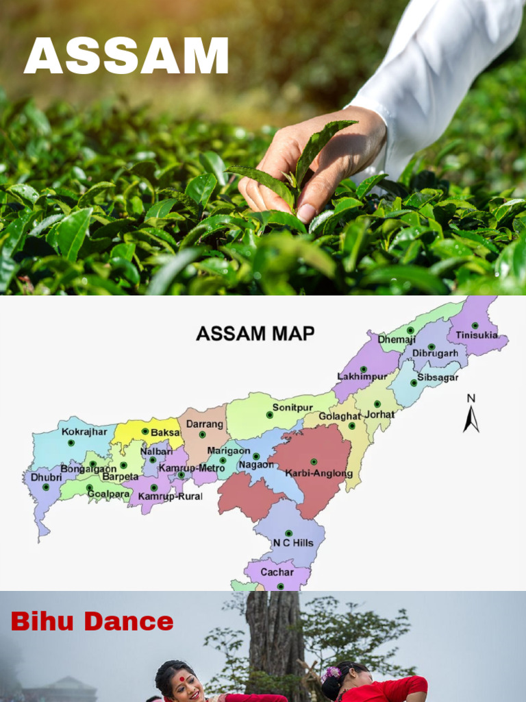 Assam Bihu Dance - PPTX - 20241119 - 152911 - 0000 | PDF