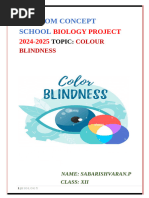 Ishihara Test Sheet | PDF | Image Processing | Ophthalmology