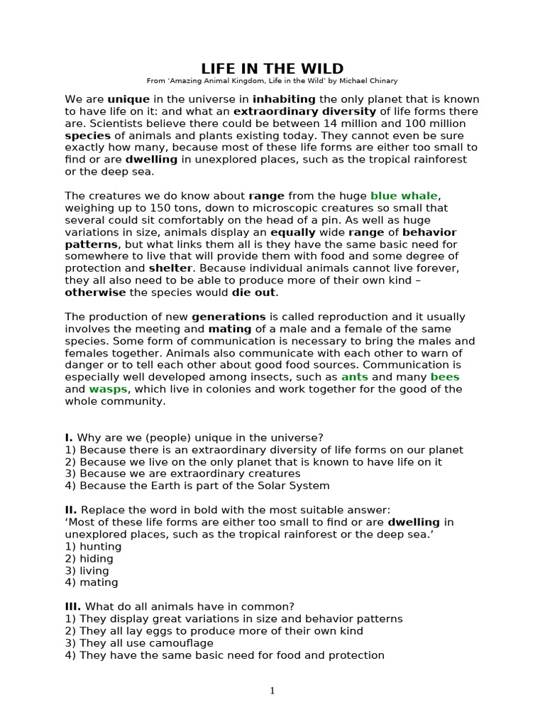 life-in-the-wild-reading-comprehension-exercises_31148 | PDF | Bees | Wasp