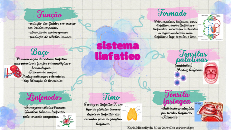 mapa mental sistema linfático.karla | PDF