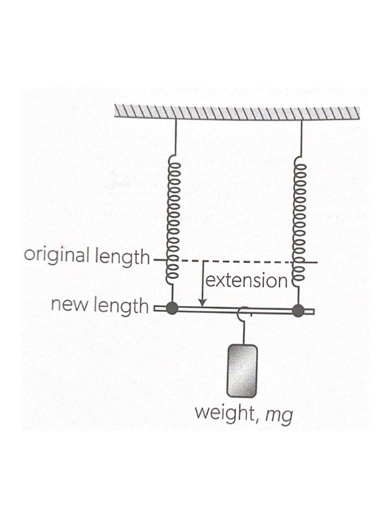 Original Length | PDF