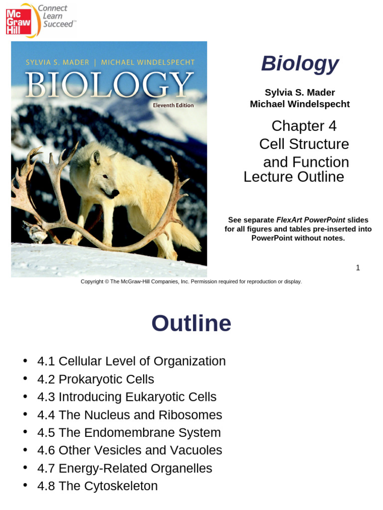 4 Cell Structure and Function | PDF | Endoplasmic Reticulum | Cell (Biology)