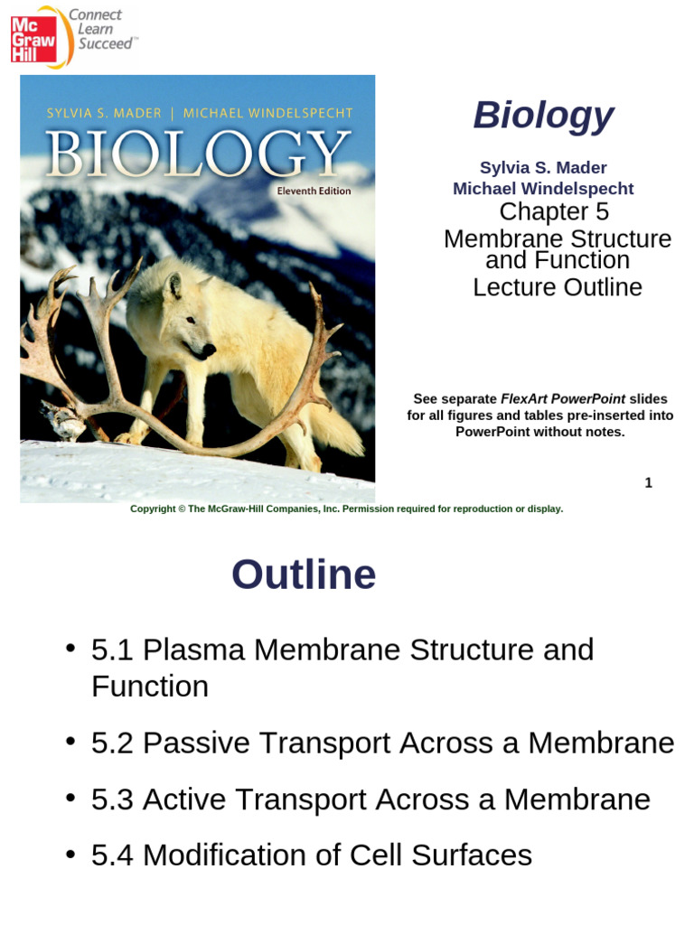 5 Membrane structure and function | PDF | Cell Membrane | Cell Signaling