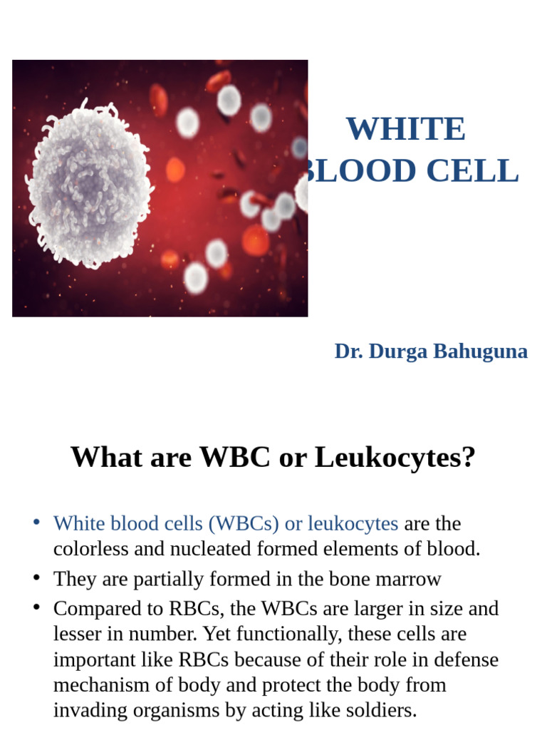 White Blood Cell | PDF | White Blood Cell | Granulocyte