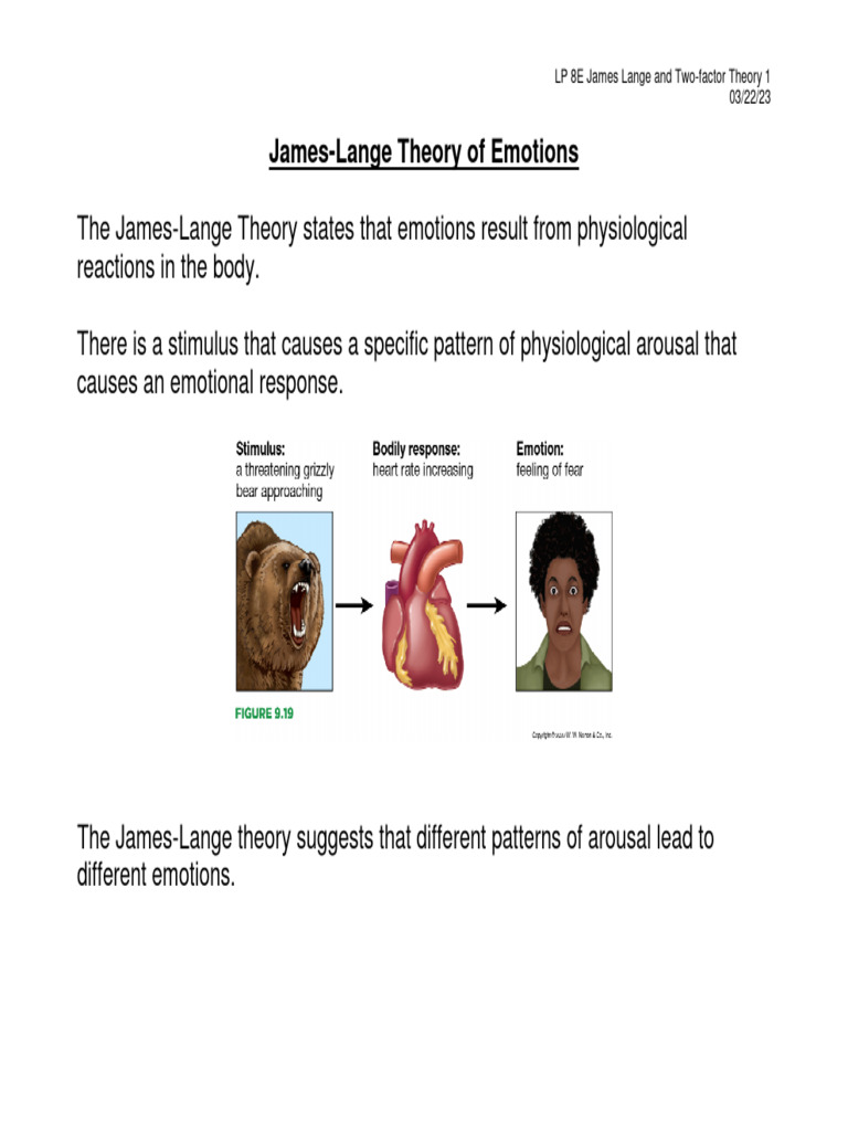James Lange Theory of Emotion | PDF