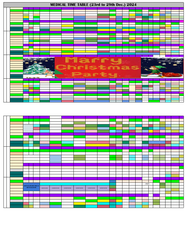 MEDICAL TIME TABLE (23rd To 29th Dec.) 2024 | PDF