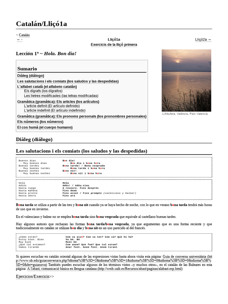 Catalán Lliçó1a | PDF | Lengua española | Lingüística
