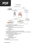 Gummy Bear Lab | PDF | Anatomical Terms Of Location | Animal Physiology