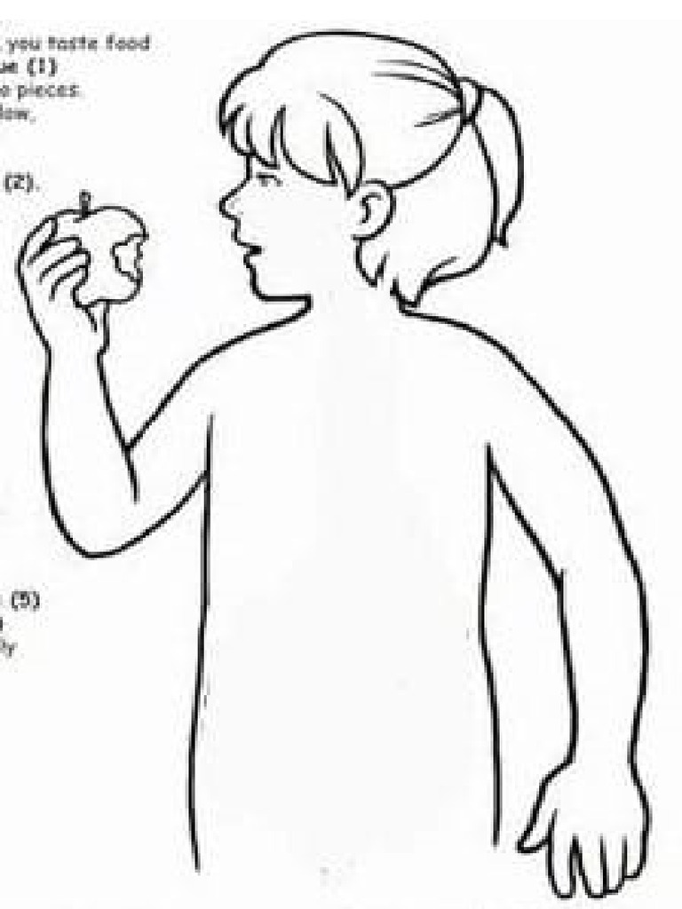 Tabloide Molde | PDF