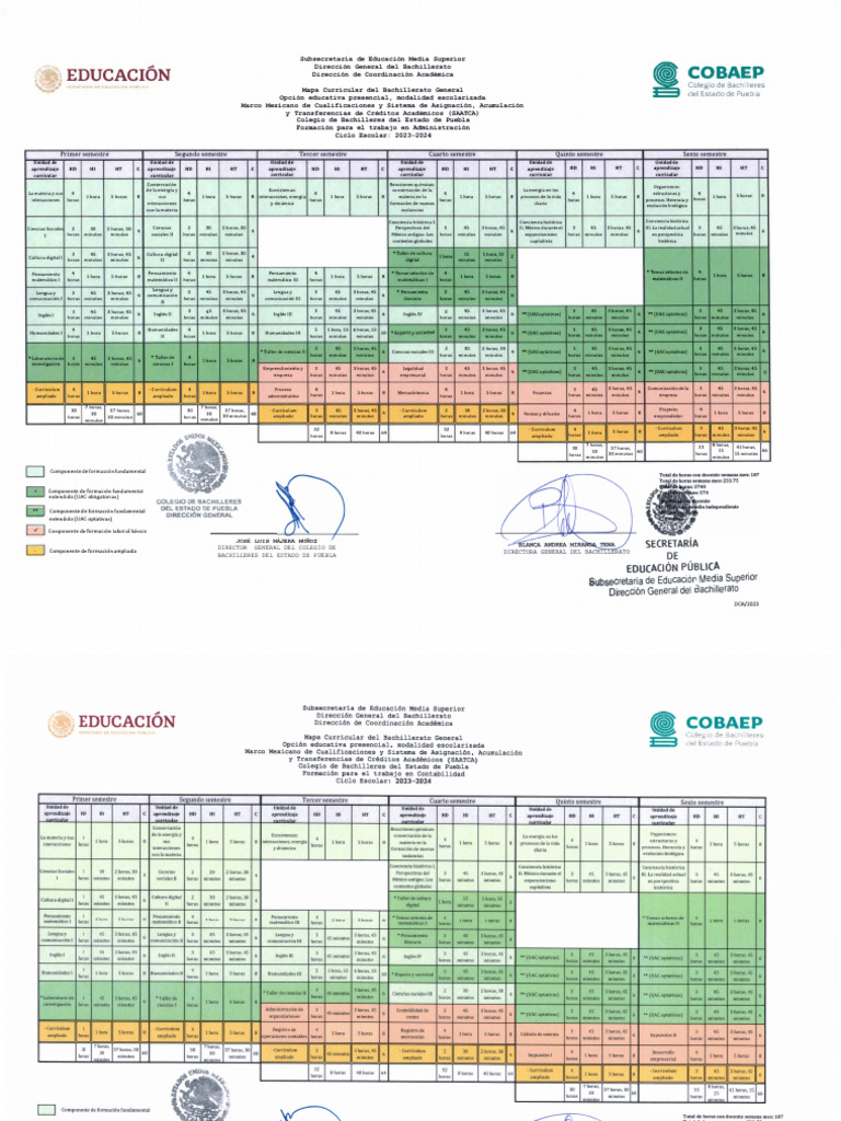 Mapas Curriculares Cobaep Sistemas | PDF