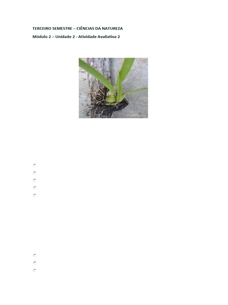 Atividade Avaliativa 2 - 3º Semestre - Mód 2 Unidade 2 | PDF | Parasitismo | Ecossistema