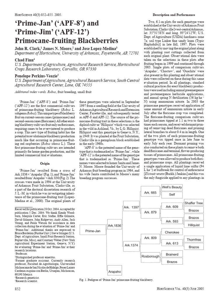 2005 - A Proposed Model For Inheritance of Primocane | PDF | Blackberry ...